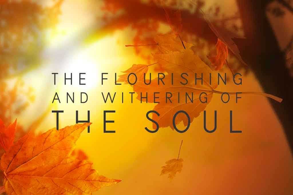 surat-al-shams - Al Kawthar Academy | 'The Abundance of Good'